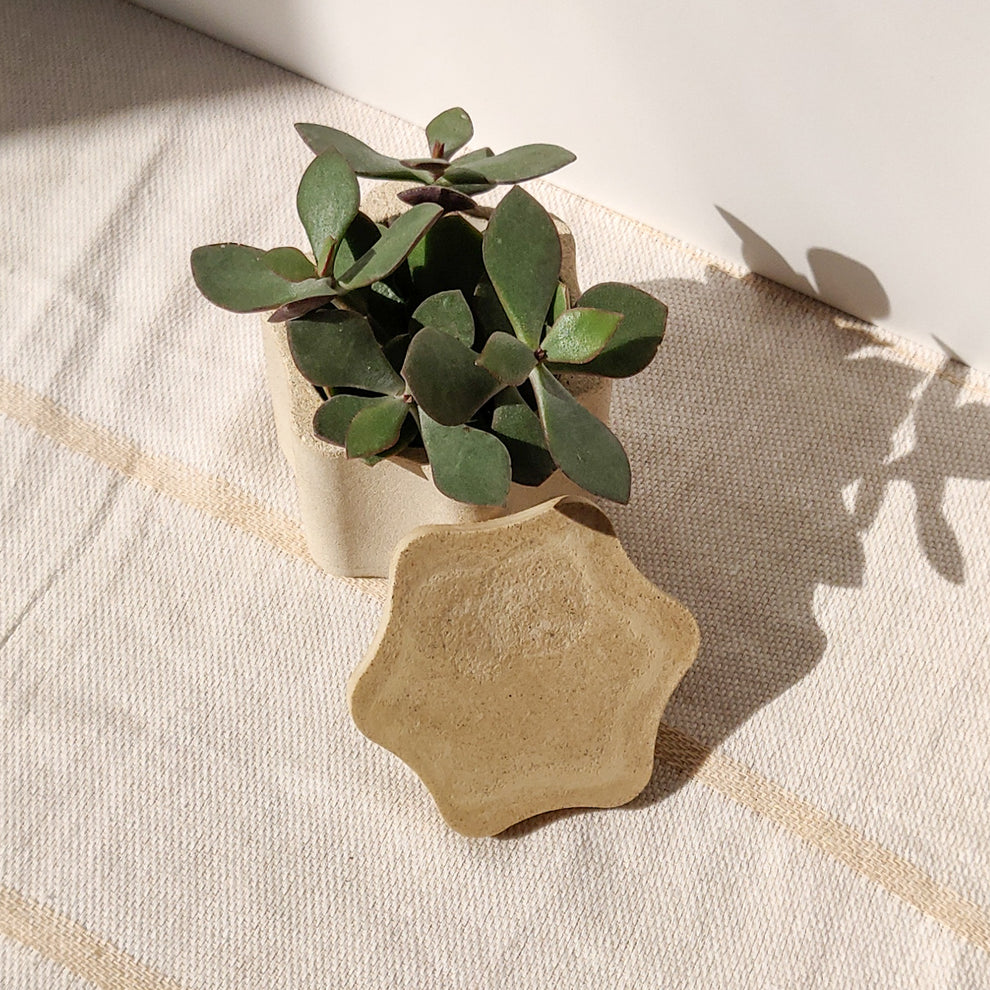 Wavy Flower Plant Pot with Drainage Hole and Water Tray | Home & Garden ...